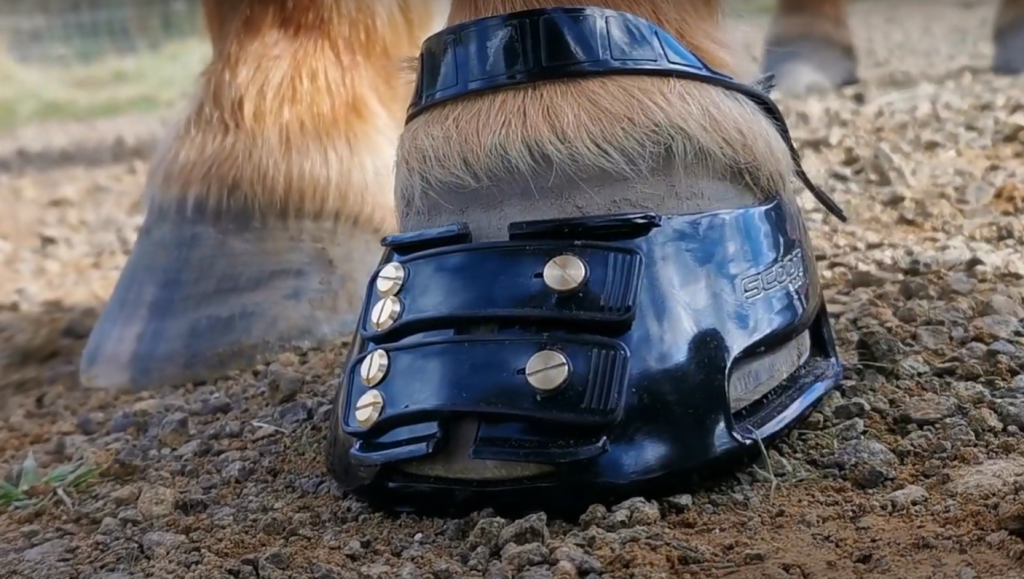 Scoot Boots Größenbestimmung und Beratung - welche Größe passt?